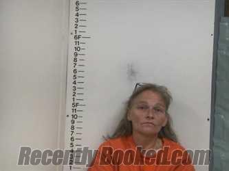Recent Booking / Mugshot for SHEILA R LANE in Putnam County, Tennessee