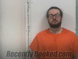 Recent Booking / Mugshot for ELIJAH M MCCALLISTER in Putnam County ...
