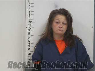 Recent Booking / Mugshot for JENNIFER L MCBRIDE-BURGESS in Putnam ...