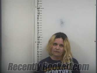 Tammy L Peters Mugshot & Arrest Info | Putnam County, TN