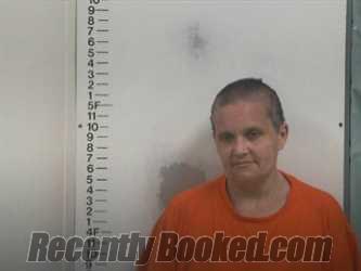 Recent Booking / Mugshot for TAMMY L PETERS in Putnam County, Tennessee