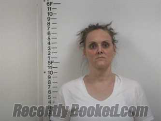 Recent Booking / Mugshot for KARISSA ANN M WALKER in Putnam County ...