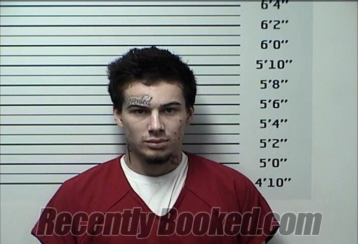 Recent Booking / Mugshot for JEREMY TERRELL JONES in Rhea County, Tennessee