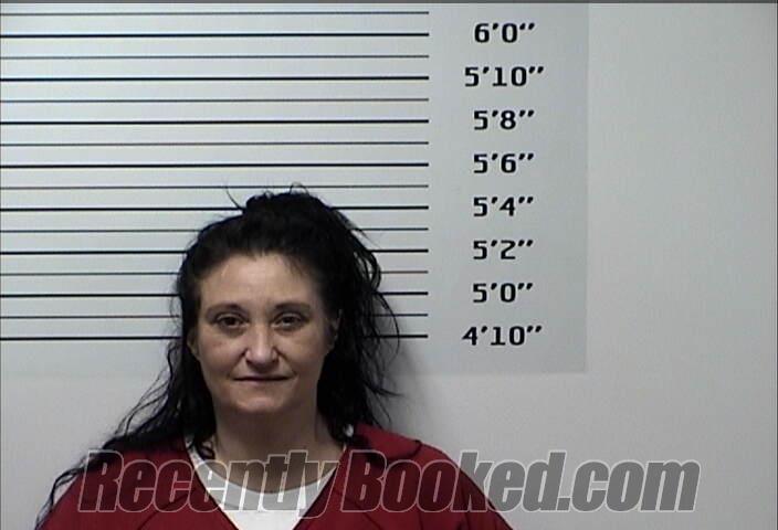 Recent Booking / Mugshot for JAMIE ARLENE LAWSON in Rhea County, Tennessee