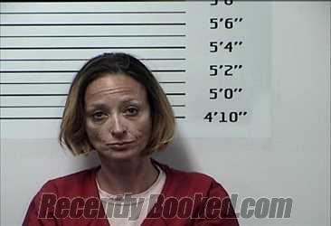 Recent Booking / Mugshot for APRIL LEE SWISKI in Rhea County, Tennessee