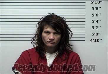 Recent Booking / Mugshot for TABATHA MARIE SMITH in Rhea County, Tennessee