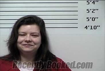 Recent Booking / Mugshot for AMBER ANN RHEAR in Rhea County, Tennessee