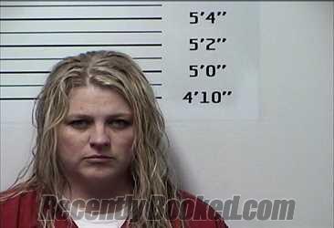 Recent Booking / Mugshot for MILISA LAWSON in Rhea County, Tennessee