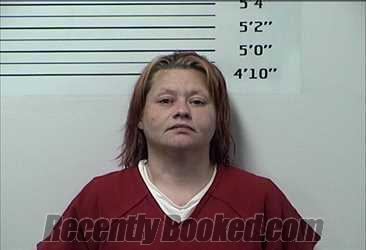 Recent Booking / Mugshot for STACY LEAH RUFFNER in Rhea County, Tennessee