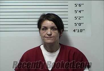 Recent Booking / Mugshot for MIRANDA MICHELLE LANKFORD in Rhea County ...