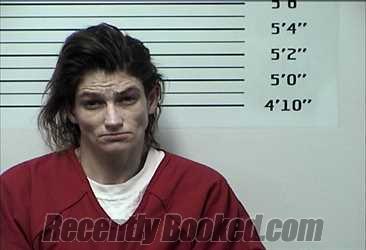 Recent Booking / Mugshot for TIFFANY JOE GOODWIN in Rhea County, Tennessee