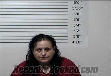 Recent Booking / Mugshot for AMY JACQUELINE SNYDER in Rhea County ...