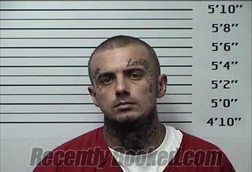 Recent Booking / Mugshot for CHRISTOPHER DEWAYNE HOOKS in Rhea County ...