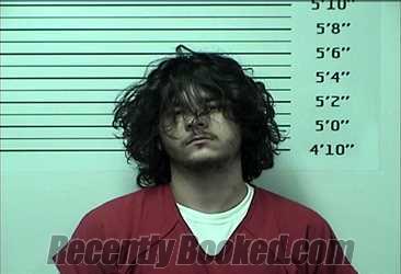 Recent Booking / Mugshot for MASON TRAVIS LEROY in Rhea County, Tennessee