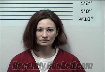 Recent Booking / Mugshot for APRIL ELISABETH SINCLAIR in Rhea County ...
