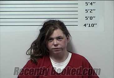 Recent Booking / Mugshot for MILLIE NICOLE EVANS in Rhea County, Tennessee