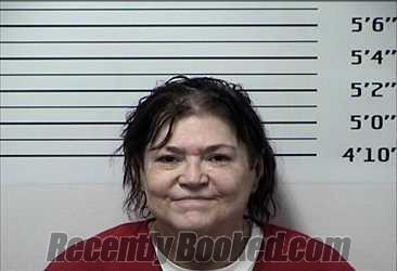 Recent Booking / Mugshot for ALETHEA CLAUDINE RAY in Rhea County, Tennessee