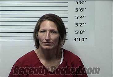 Recent Booking / Mugshot for HEATHER RENEE NEWCOME in Rhea County ...