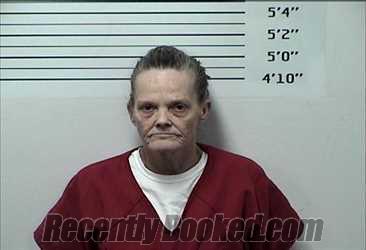 Recent Booking / Mugshot for JUDY DELORIS HARRIS in Rhea County, Tennessee