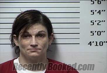 Recent Booking / Mugshot for TIFFANY JOE GOODWIN in Rhea County, Tennessee