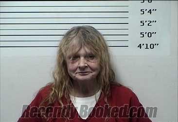 Recent Booking / Mugshot for SHERRI LYNN ROSS in Rhea County, Tennessee