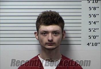 Recent Booking / Mugshot for COLLIN BENSON STONE in Rhea County, Tennessee