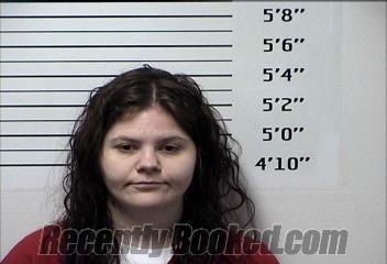 Amber Lynn Sherrill Arrest & Booking Info | Rhea County, TN