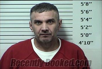 Recent Booking / Mugshot for DAVID WESLEY RITCHIE in Rhea County, Tennessee