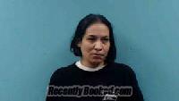 Recent Booking / Mugshot for Tessa Jane Hamby in Roane County, Tennessee