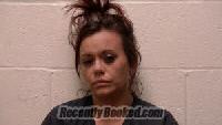 Recent Booking / Mugshot for Dara Renee Gregory in Robertson County ...