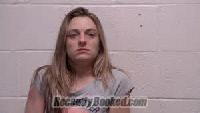 Recent Booking / Mugshot for Kayla Faye Hayes in Robertson County ...