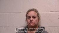 Recent Booking / Mugshot for Natalie Ann Spillman in Robertson County ...
