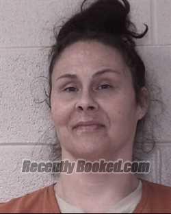 Recent Booking / Mugshot for JAMIE L CALLIS in Rutherford County, Tennessee