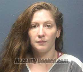 Recent Booking / Mugshot for AMBER MICHELLE KINTON in Sevier County ...