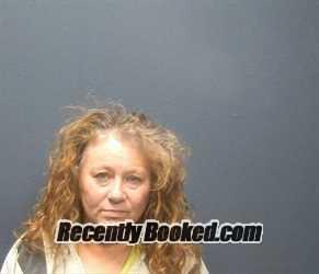 Recent Booking / Mugshot for SANDRA LEE BERRIER in Sevier County, Tennessee