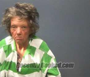 Recent Booking / Mugshot for KELLY JEAN DAVIN-ROBAR in Sevier County ...