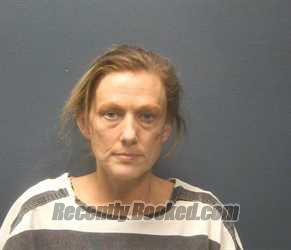 Recent Booking / Mugshot for LAURA MORGAN in Sevier County, Tennessee