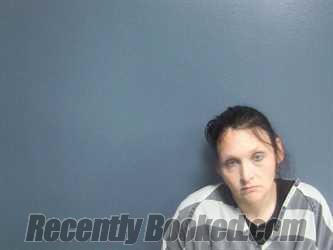 Recent Booking / Mugshot for LISA M JOHNSON in Sevier County, Tennessee