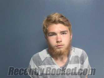 Recent Booking / Mugshot for TYLER LOVELL in Sevier County, Tennessee