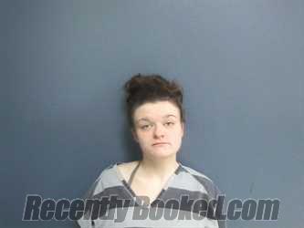 Recent Booking / Mugshot for BRIANNA L MORGAN in Sevier County, Tennessee