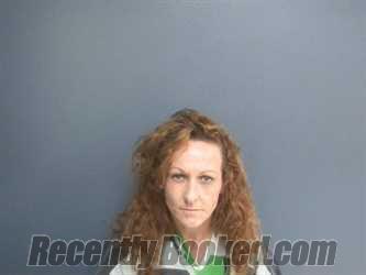 Recent Booking / Mugshot for TRACI L MATHIS in Sevier County, Tennessee