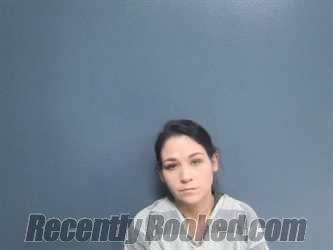Recent Booking / Mugshot for STEPHANIE N PFOFF in Sevier County, Tennessee