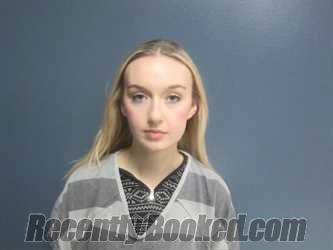 Recent Booking / Mugshot for CHLOE E ROGERS in Sevier County, Tennessee