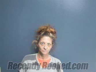 Recent Booking / Mugshot for MELISSA ROUSE in Sevier County, Tennessee