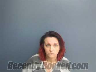 Recent Booking / Mugshot for SHERRY F SULLIVAN in Sevier County, Tennessee