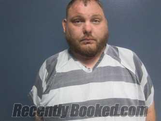 Recent Booking / Mugshot for MICHAEL E TOWNSON in Sevier County, Tennessee