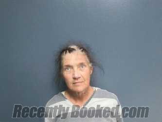 Recent Booking / Mugshot for TONYA M TAYLOR in Sevier County, Tennessee
