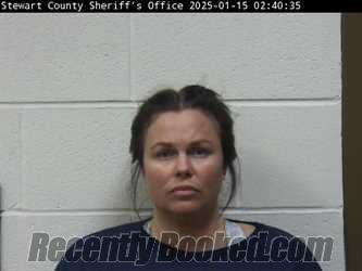 Recent Booking / Mugshot for NINA J NORFLEET in Stewart County, Tennessee