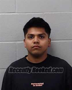 Recent Booking / Mugshot for Anthony Jean Perez Rios in Hays County, Texas