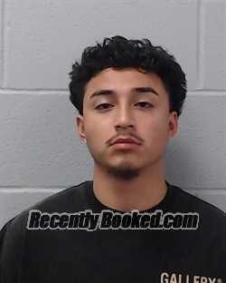 Recent Booking / Mugshot for Elias Tavera Gonzalez in Hays County, Texas